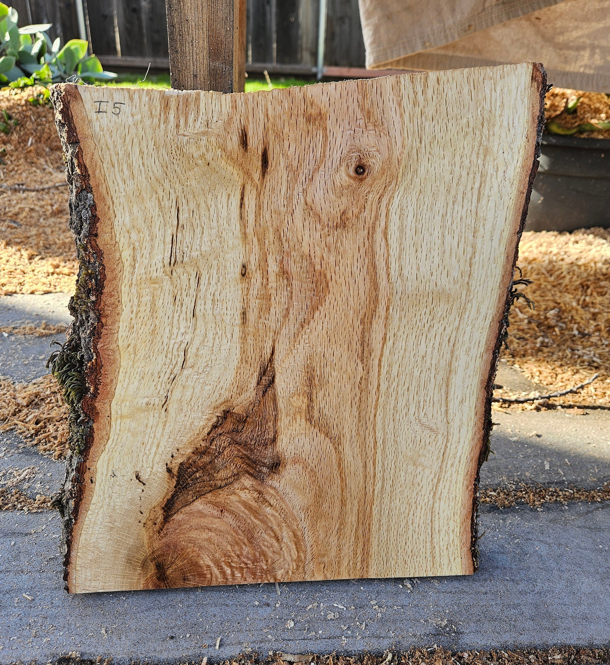 Live Edge Oak Slabs - Etsy