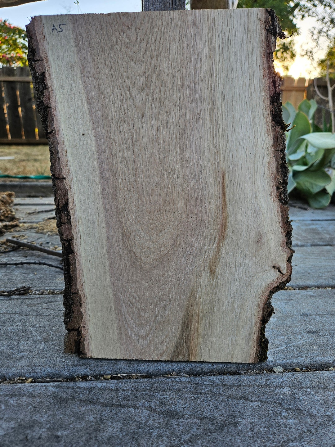 Live Edge Oak Slab - Etsy