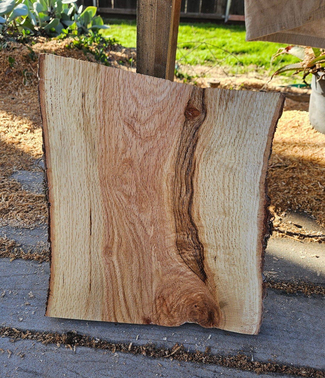 Live Edge Oak Slabs - Etsy
