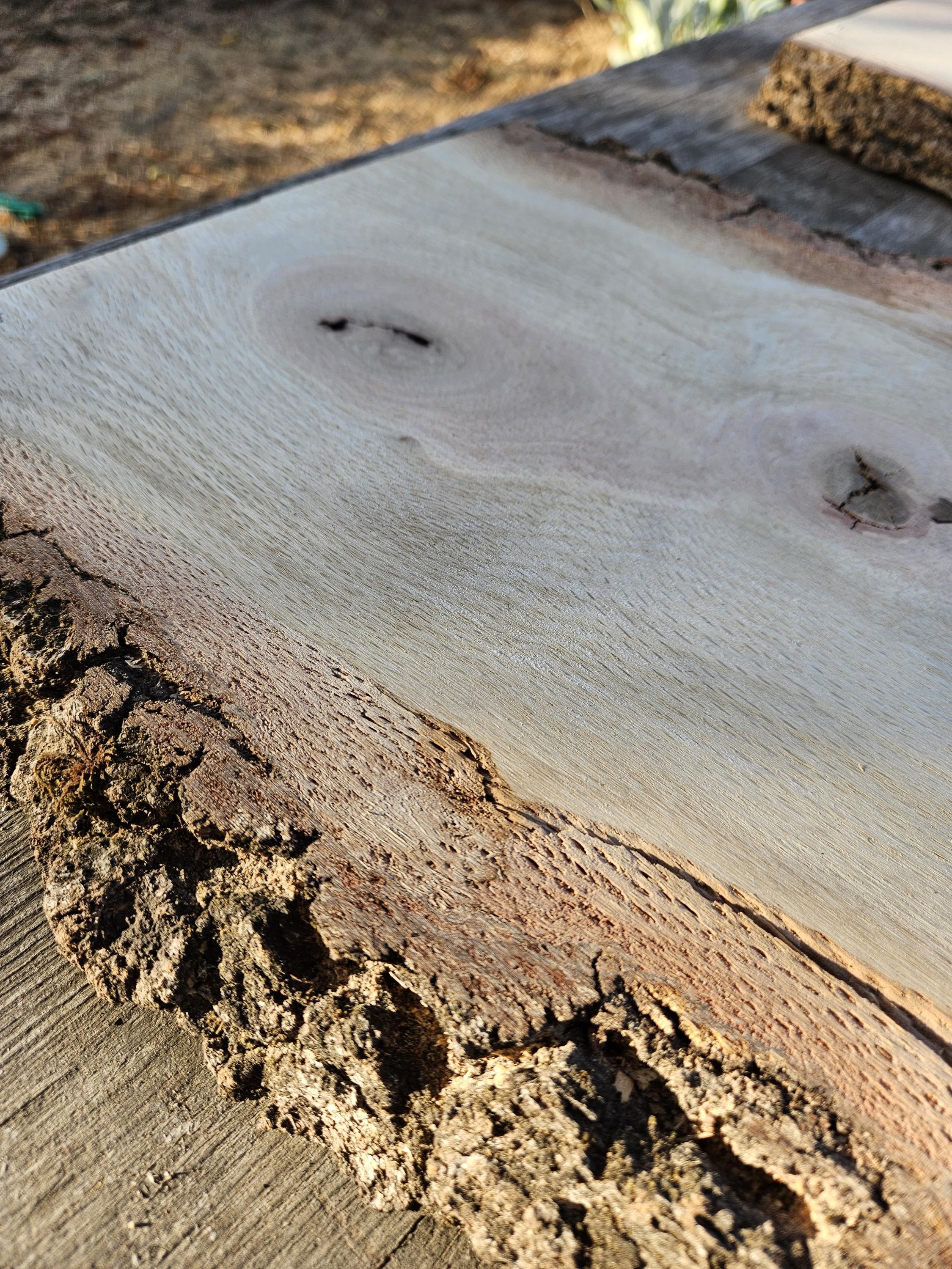 Live Edge Oak Slabs - Etsy