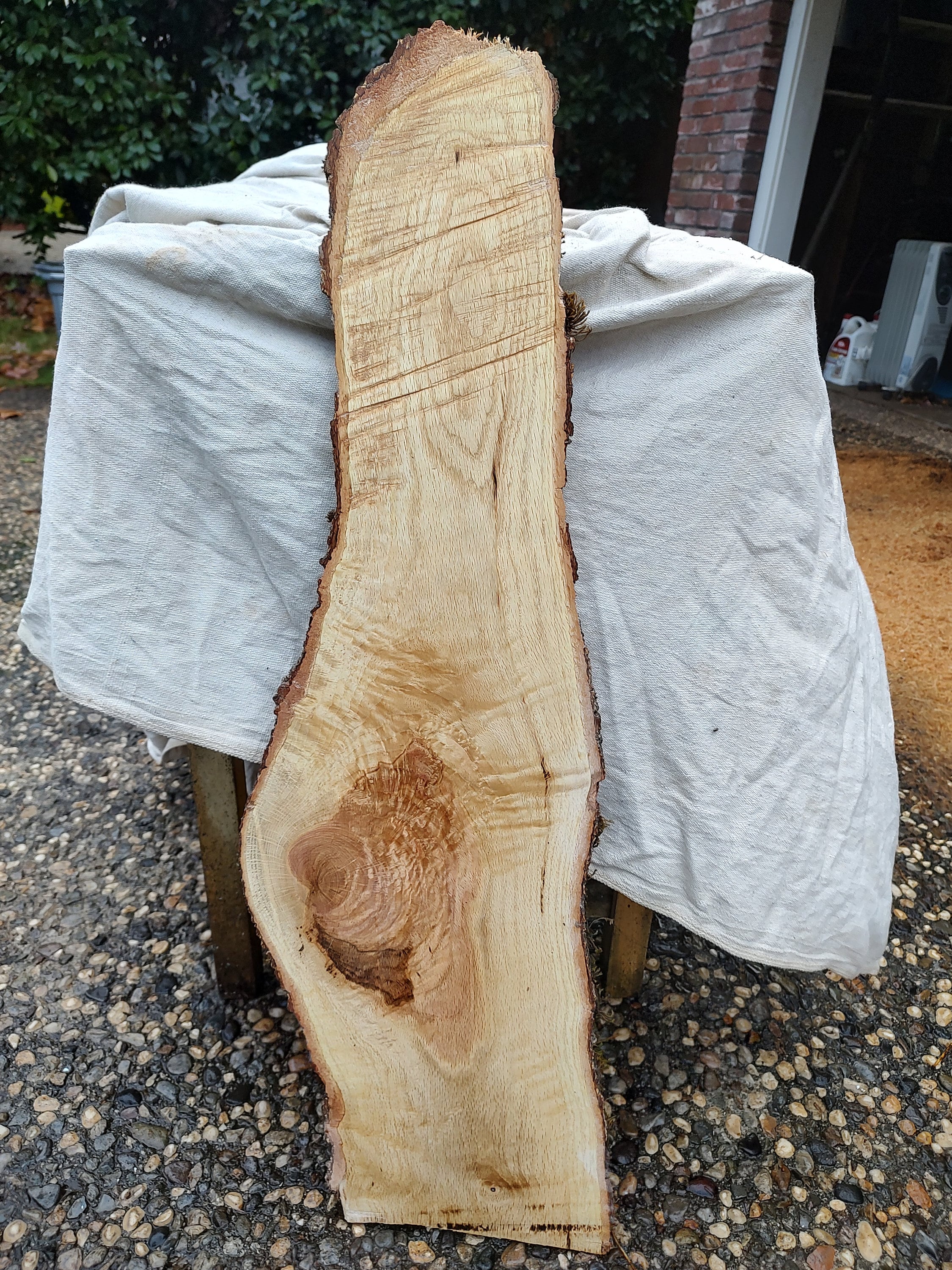 Live Edge Oak Slab - Etsy