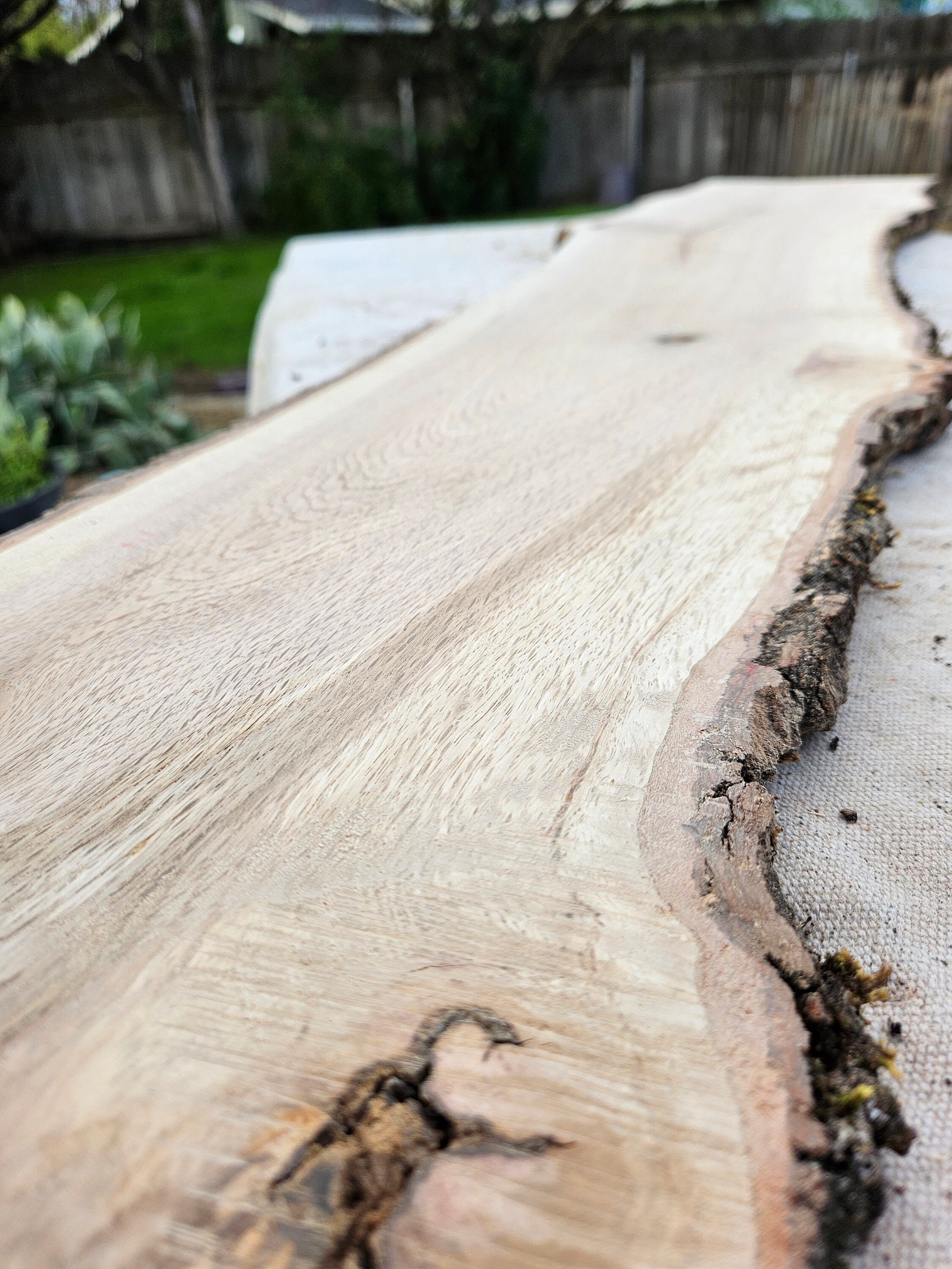 Live Edge Oak Slab - Etsy