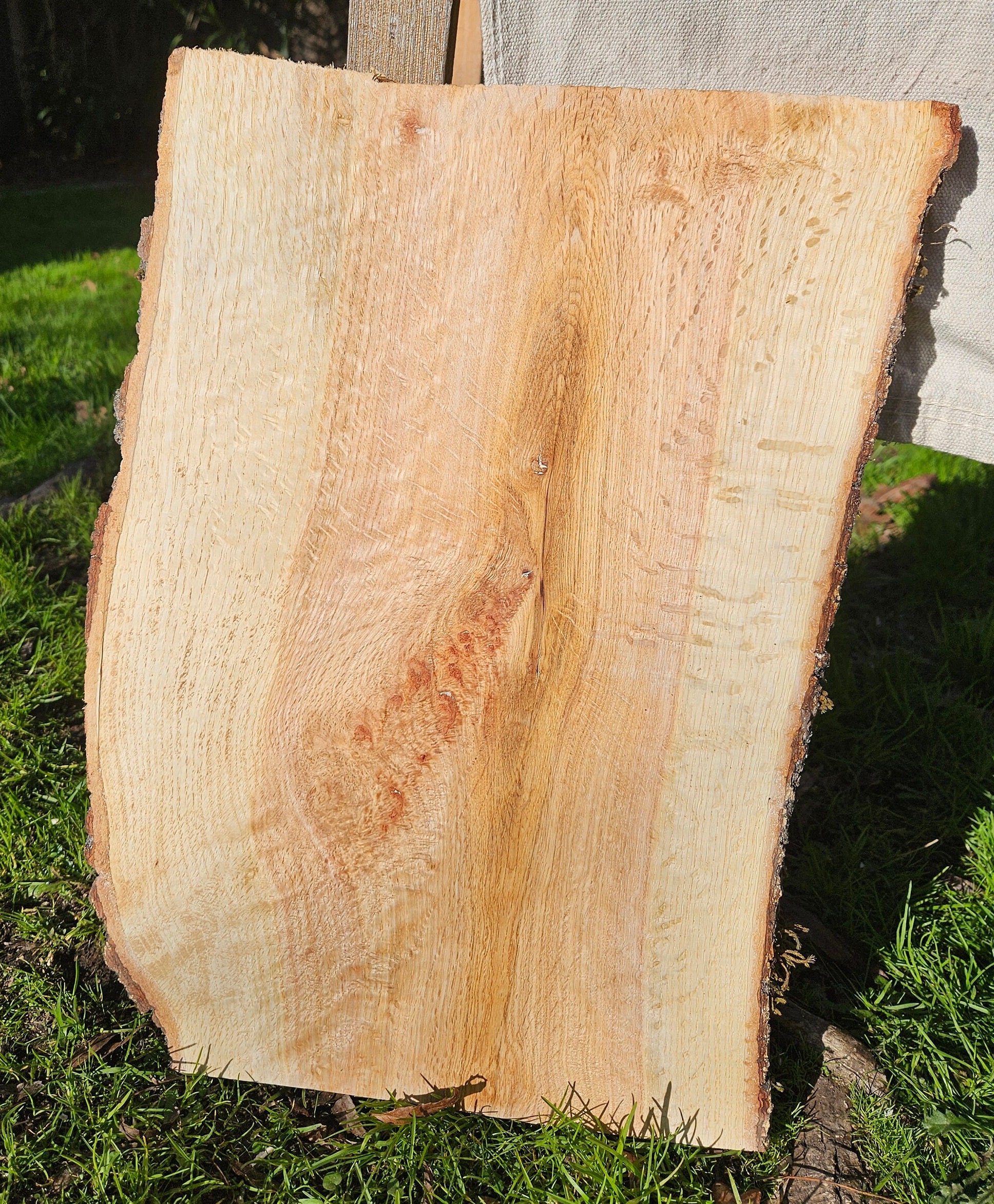 Live Edge Oak Slabs - Etsy
