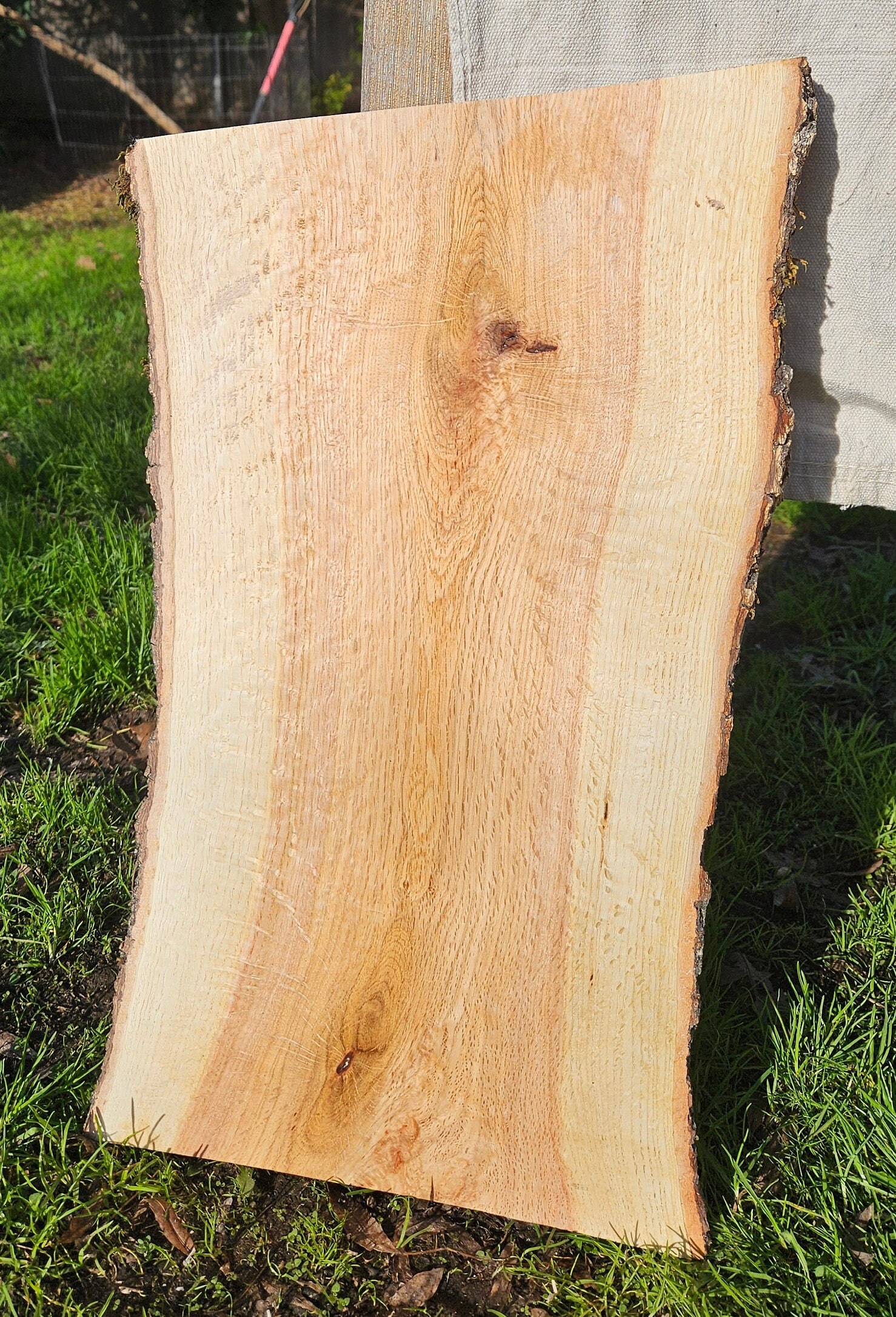 Live Edge Oak Slabs - Etsy