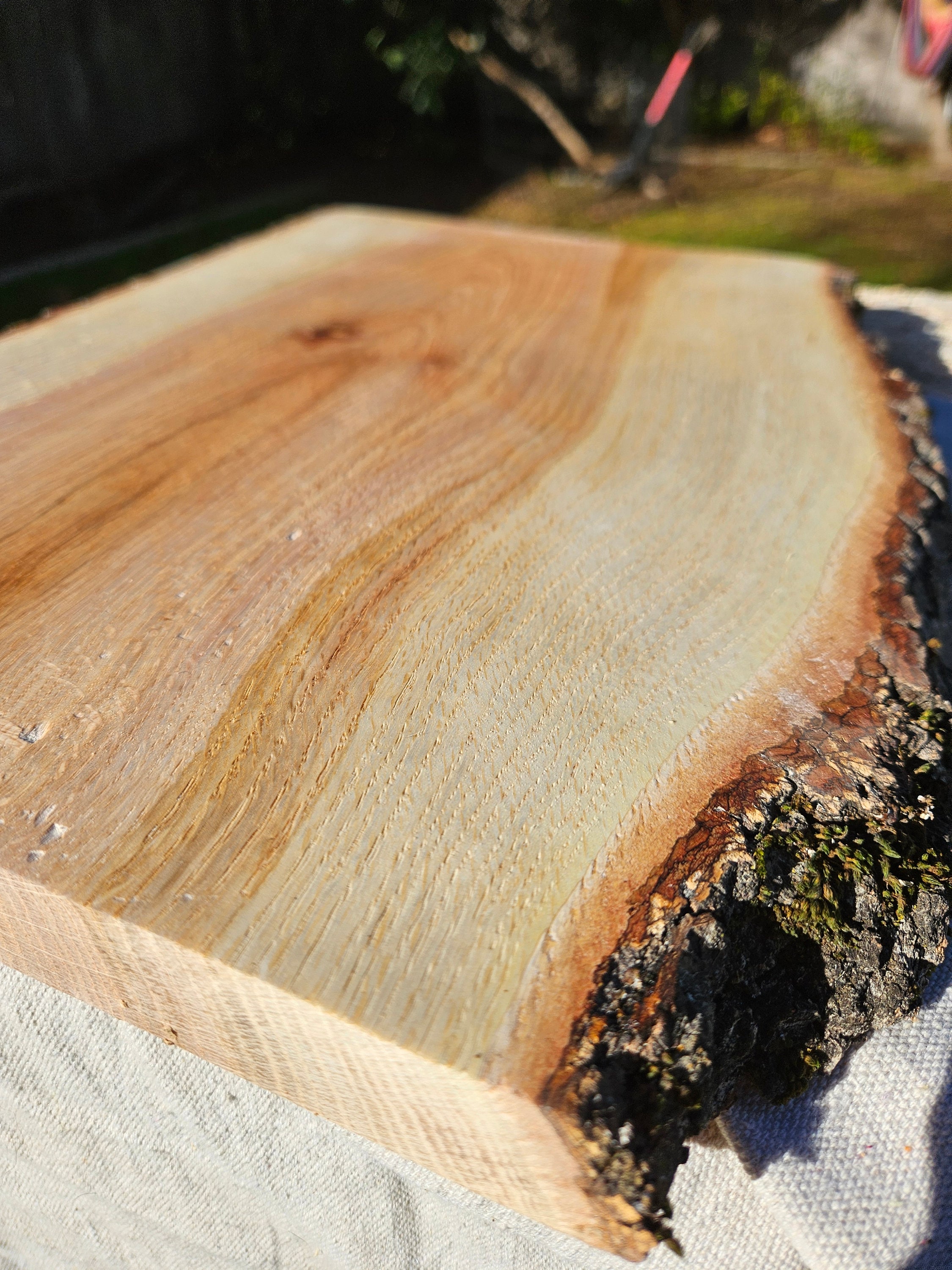 Live Edge Oak Slabs - Etsy