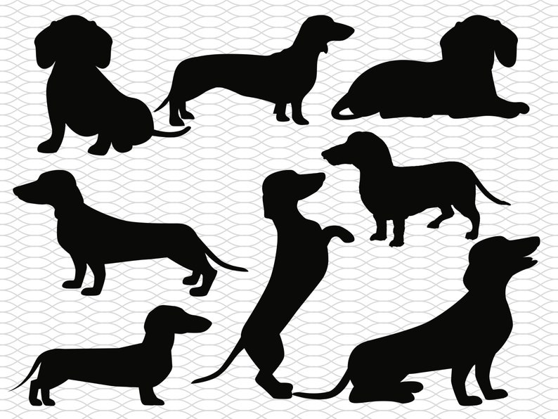 Dachshund Svg Bundle, Mega Bundle Svg, Dachshund Silhouette Bundle ...