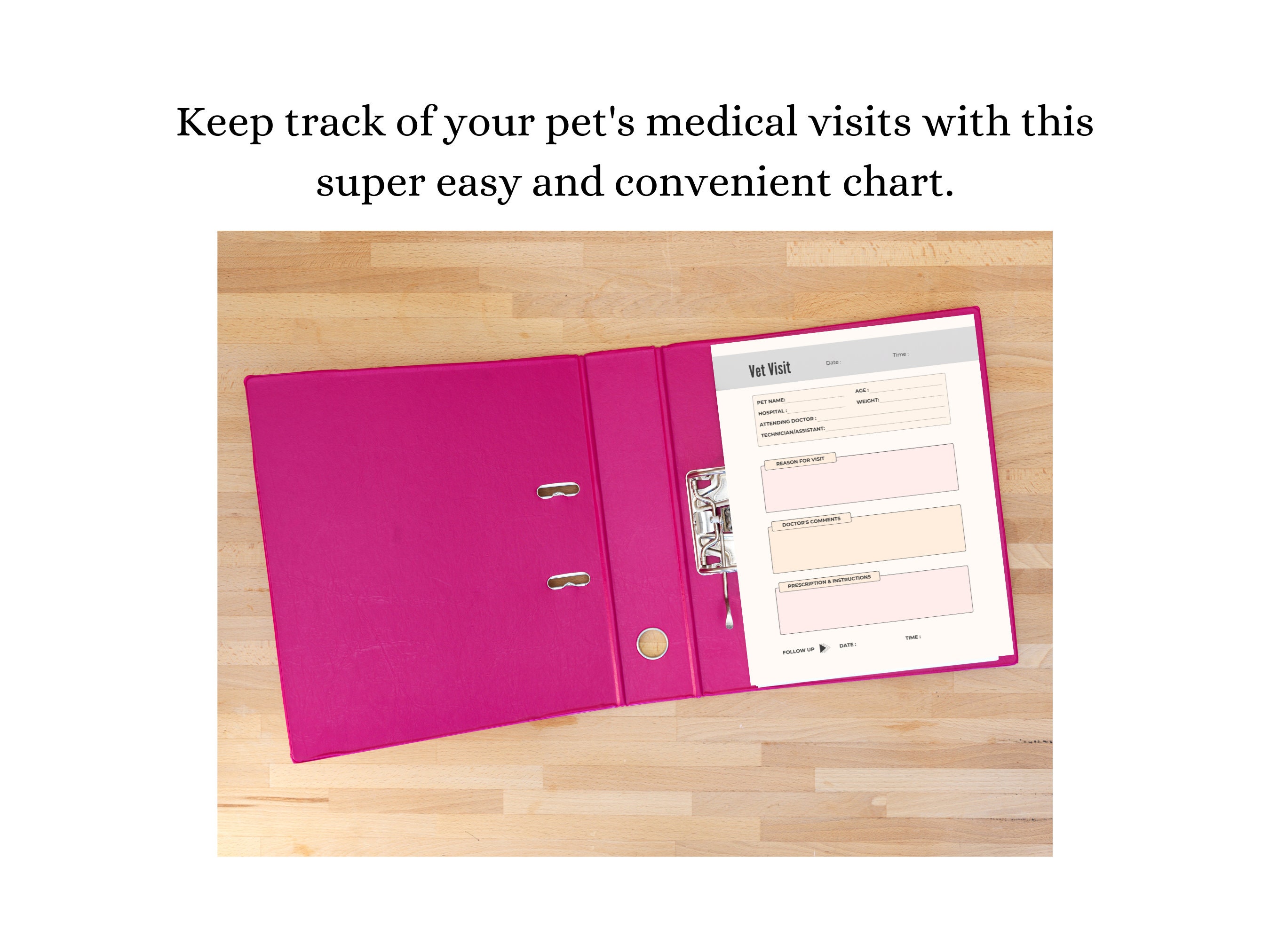 Pet Vet Visit Record, Pet Medical Record, Printable Pet Visit Record ...
