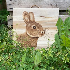 10x10 Pyrography Rabbit on Unfinished Pine - Etsy
