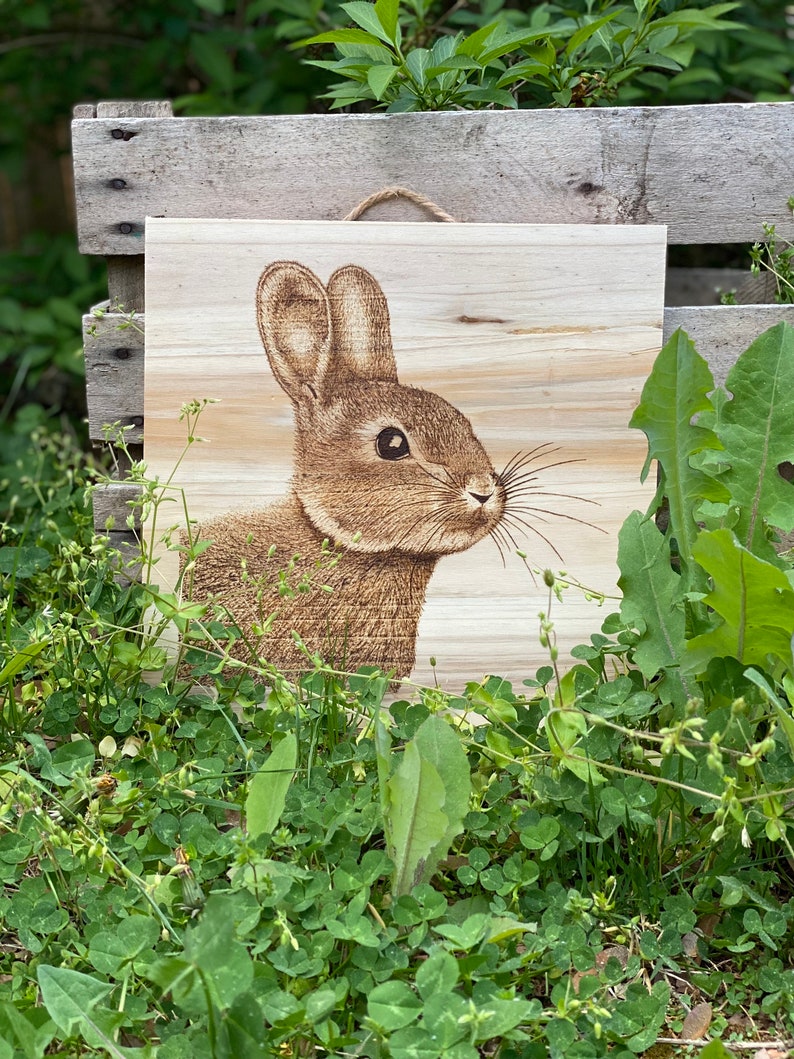 10x10 Pyrography Rabbit on Unfinished Pine - Etsy