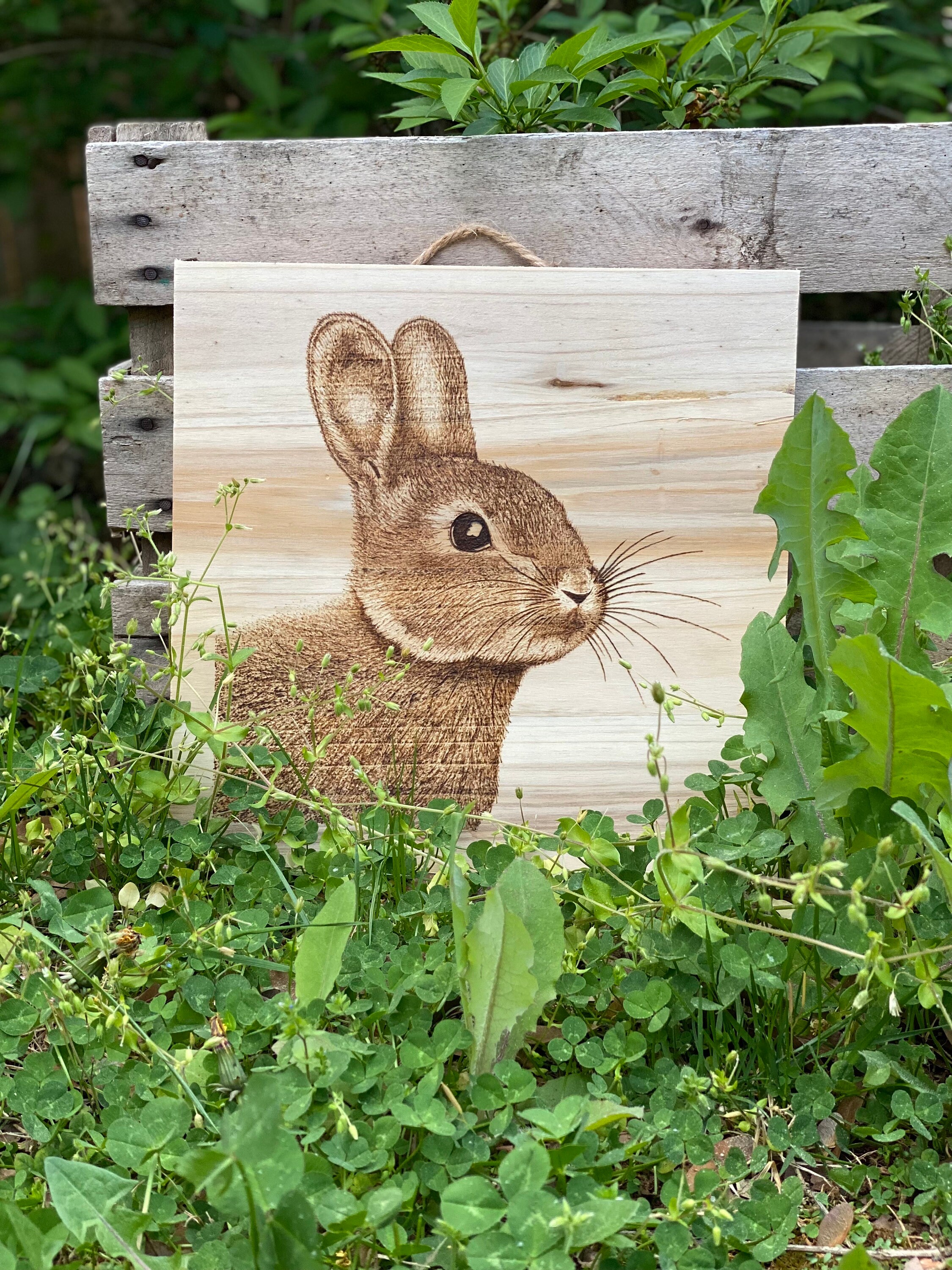 10x10 Pyrography Rabbit on Unfinished Pine - Etsy