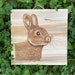 10x10 Pyrography Rabbit on Unfinished Pine - Etsy