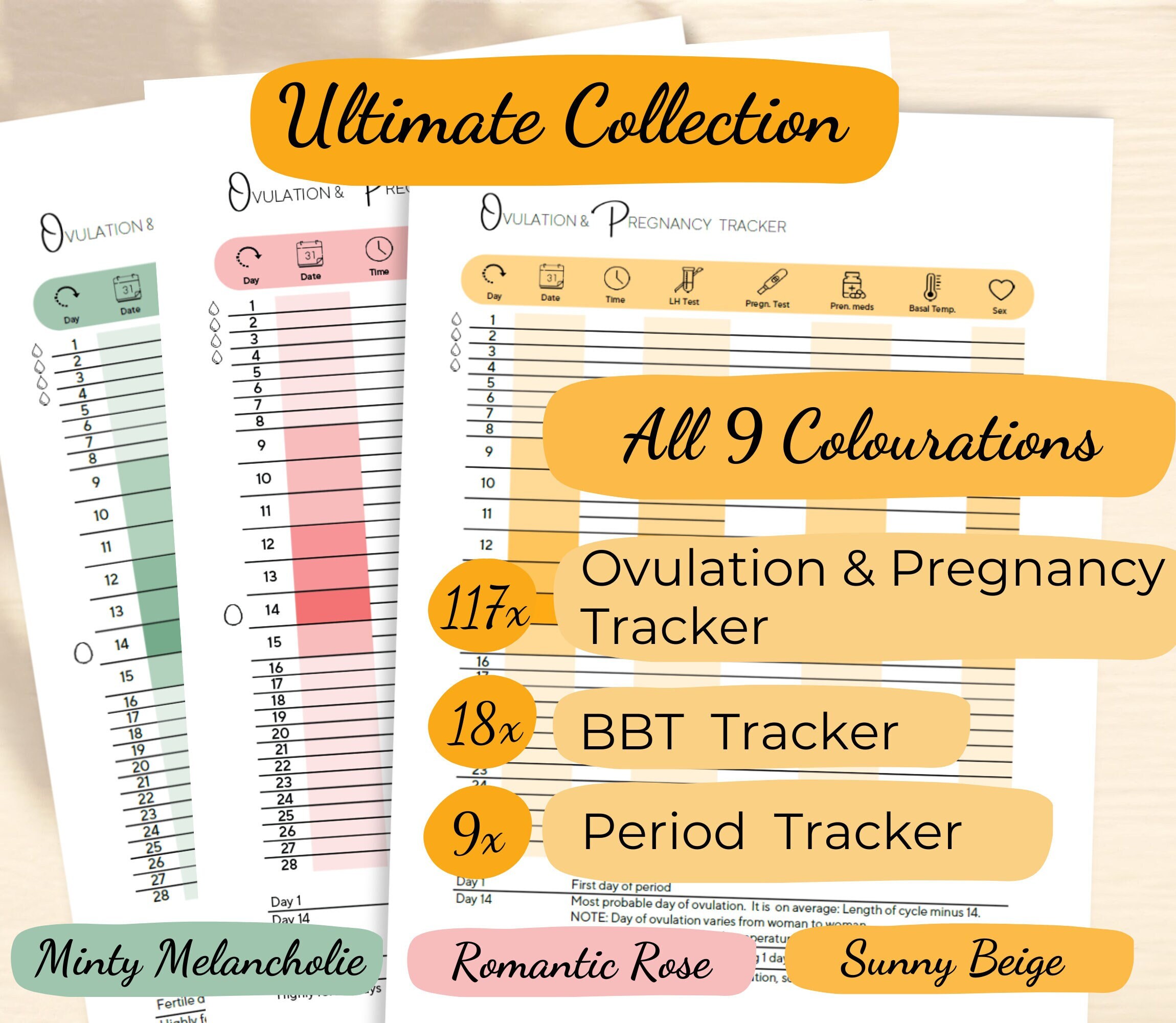 Menstrual Cycle Pregnancy Chart