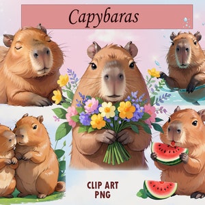 Capybaras Clipart Bundle & Sublimation Art Cute Animal, Digital ...