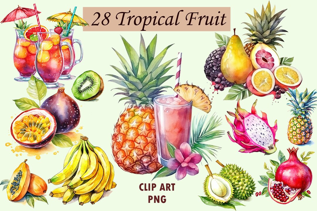 Tropical Fruit and Cocktails Clipart Bundle - Etsy