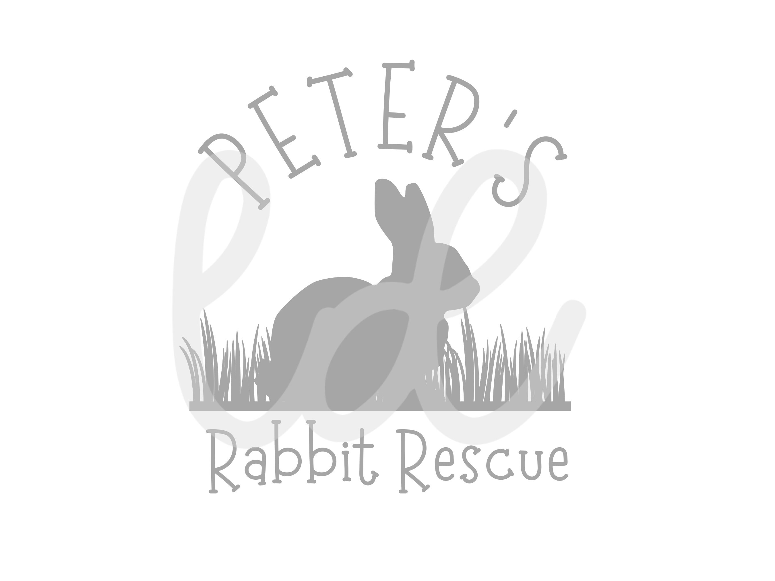 Peter’s Rabbit Rescue Png and Svg Files for Cricut, Sublimation and ...