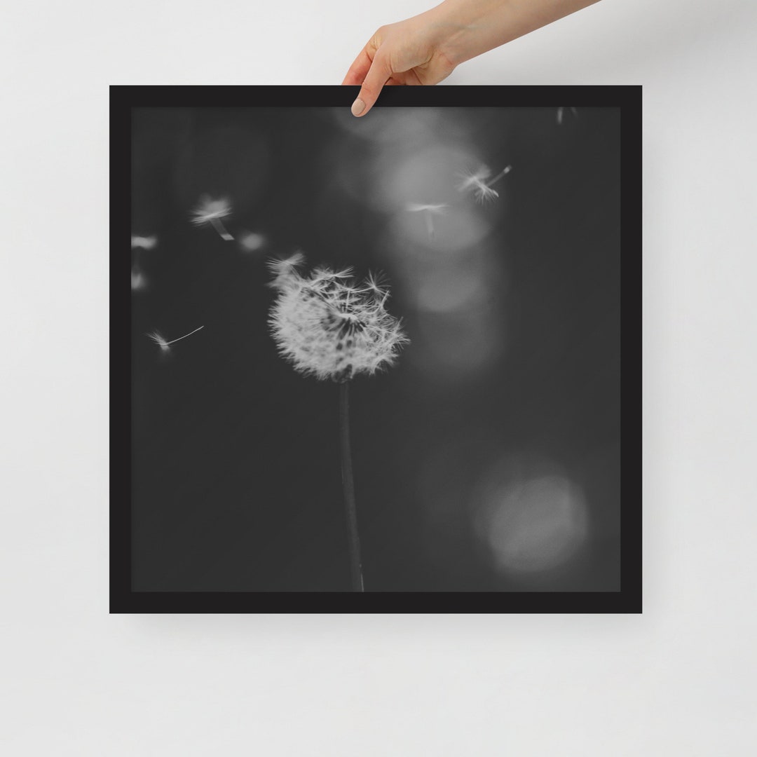 Dandelion Print - Etsy