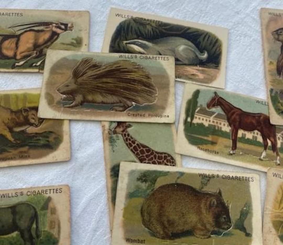 30 Vintage Wills and Player Cigarette Cards - Collectible Great for ...