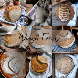 Personalized Artisan Bread Lame - Sourdough Custom Engraving, Includes ...