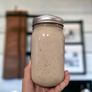 400 + Year Old Tradition - German Sourdough Starter - SUPER ACTIVE ...