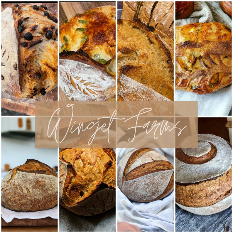 Easy to Follow Sourdough Bread Recipe - Winget Farms Famous Artisanal ...