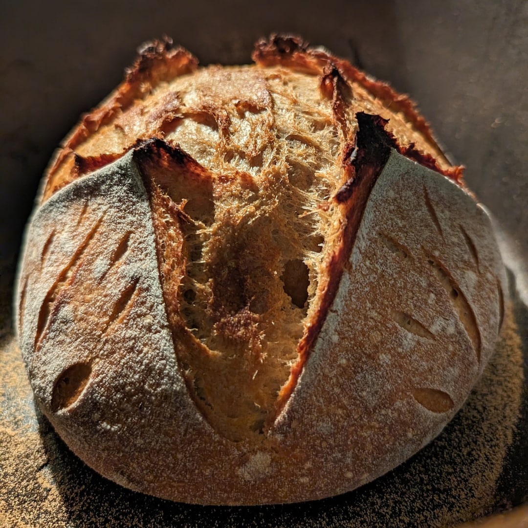 100 Year Old Tradition Dried Sourdough Starter VERY ACTIVE Dry Starter ...