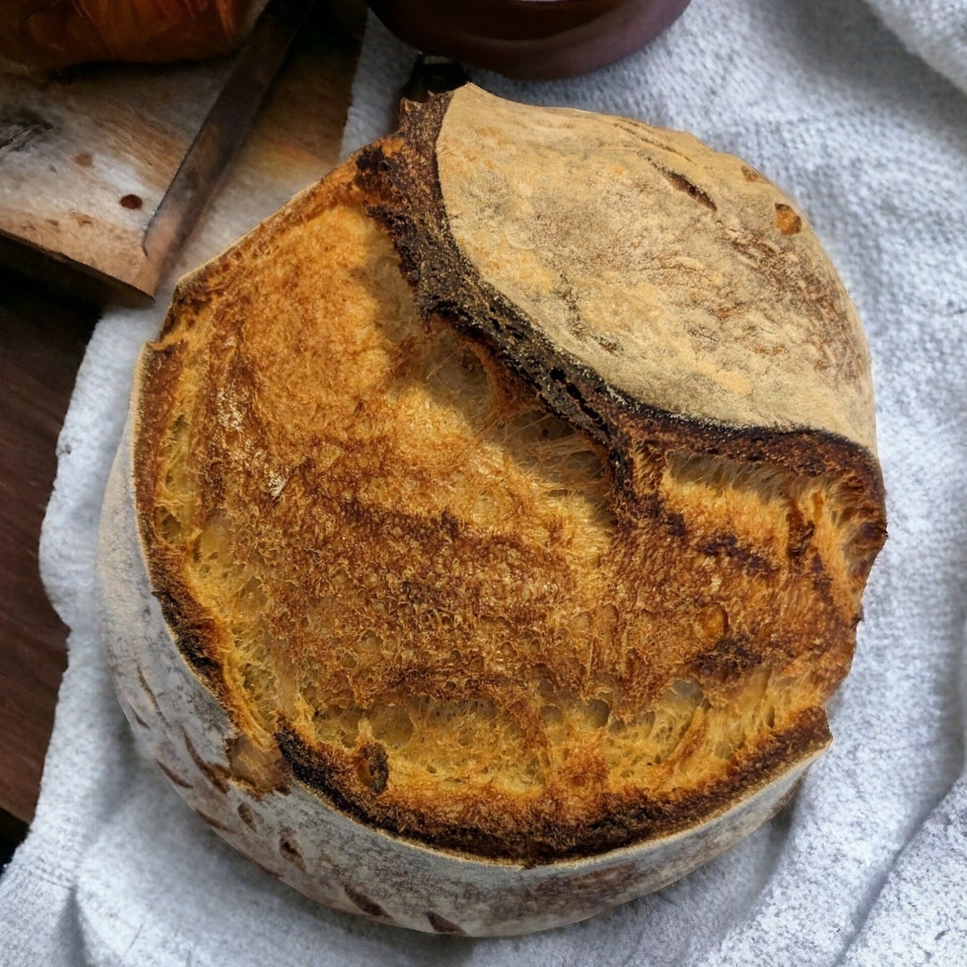 400 + Year Old Tradition - German Sourdough Starter - SUPER ACTIVE ...