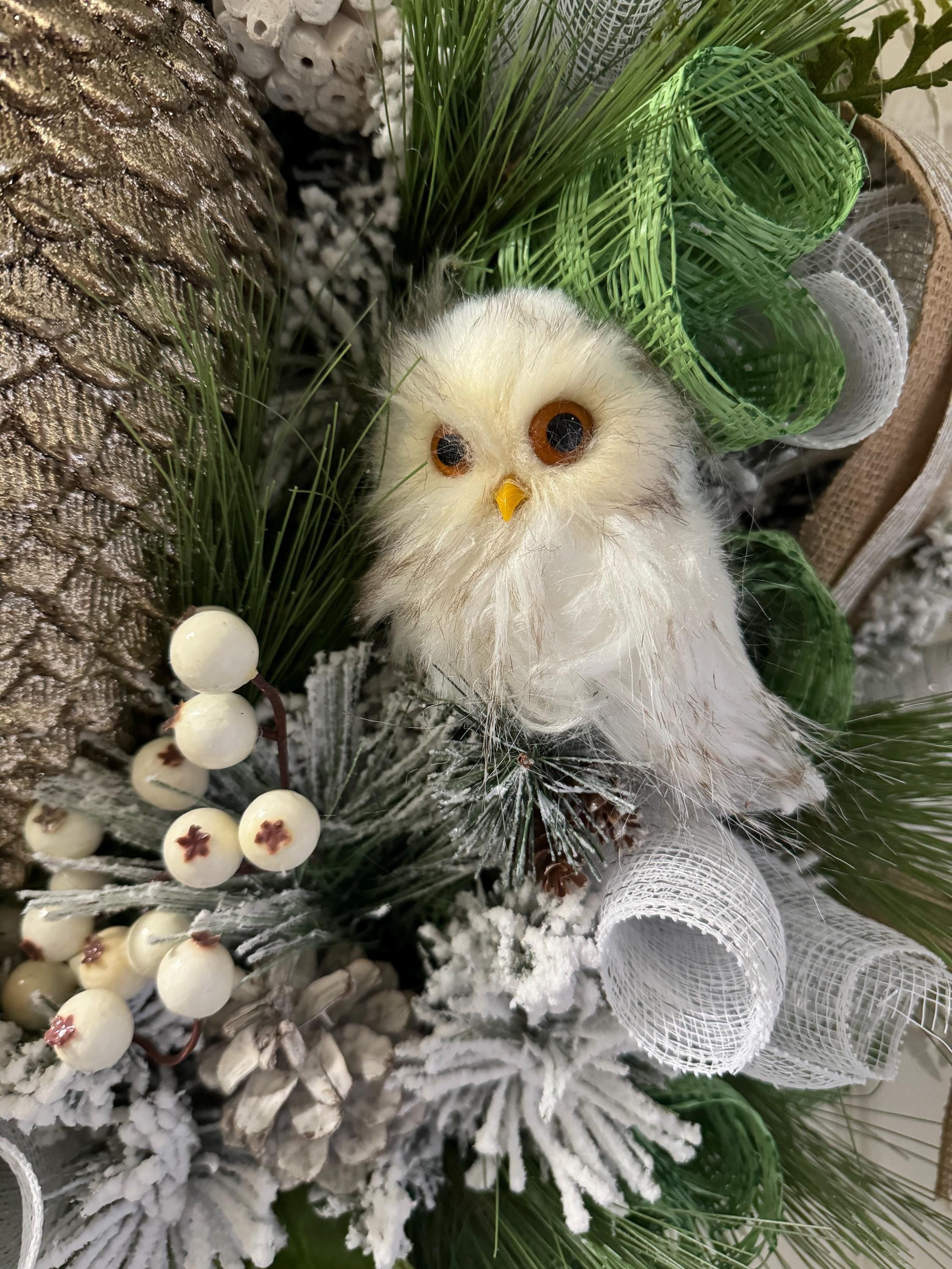 Owl Wreath for Front Door, Side Door, Porch Decor - Etsy