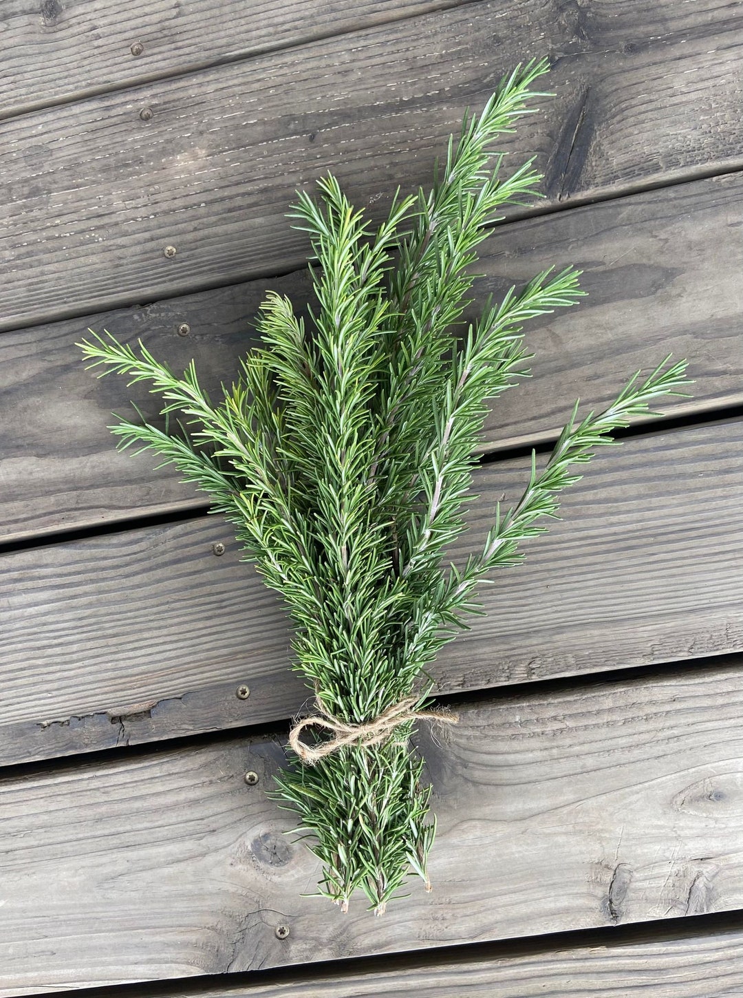Fresh or Dried Tuscan Blue Rosemary Bundles Grown on Our Lodi ...