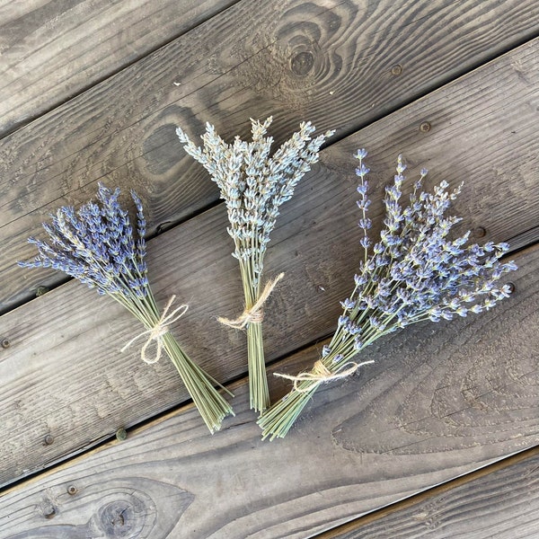 Lavender Bundles - Etsy