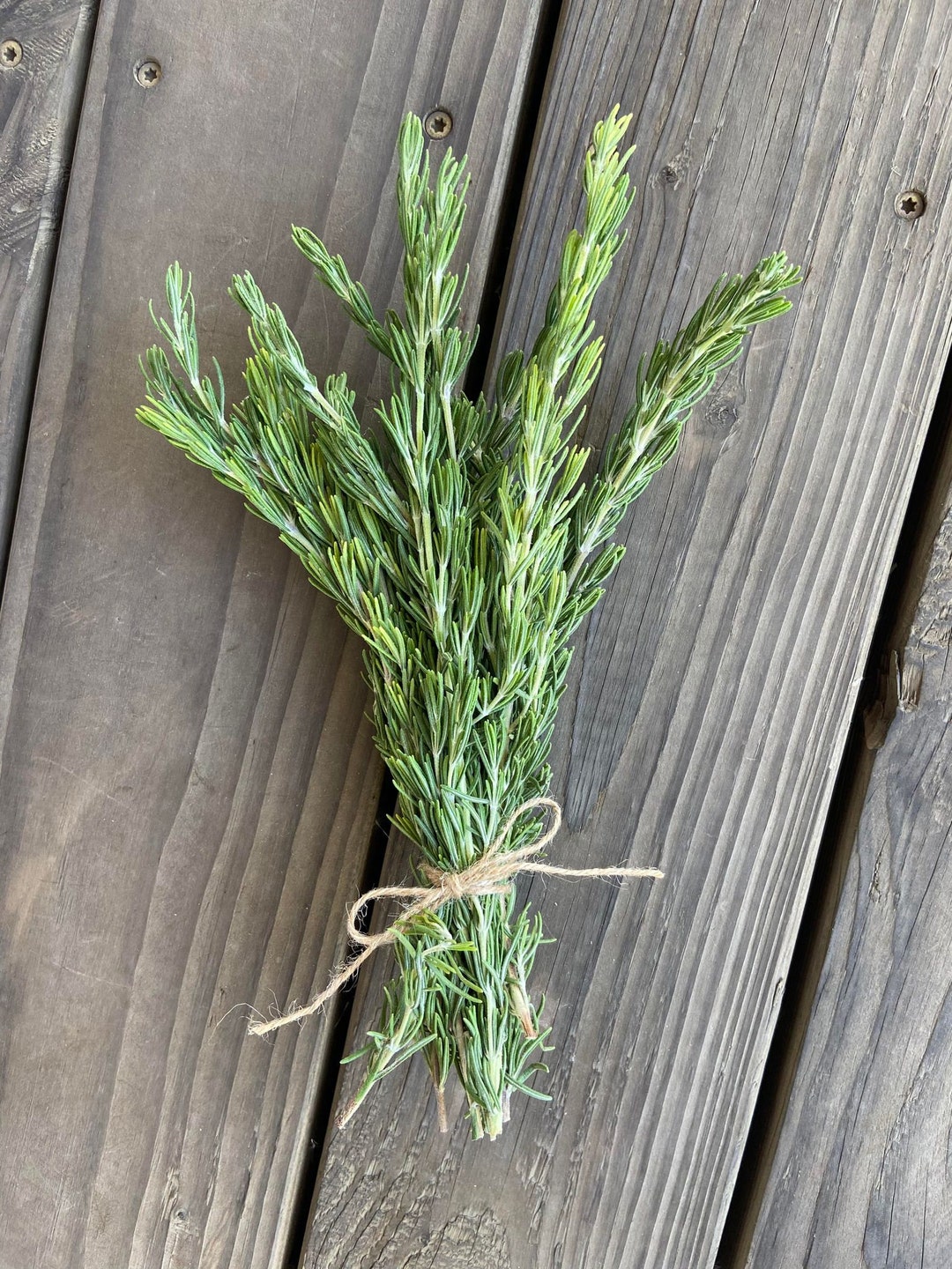 Fresh or Dried White Rosemary Bundles Grown on Our Lodi, California ...