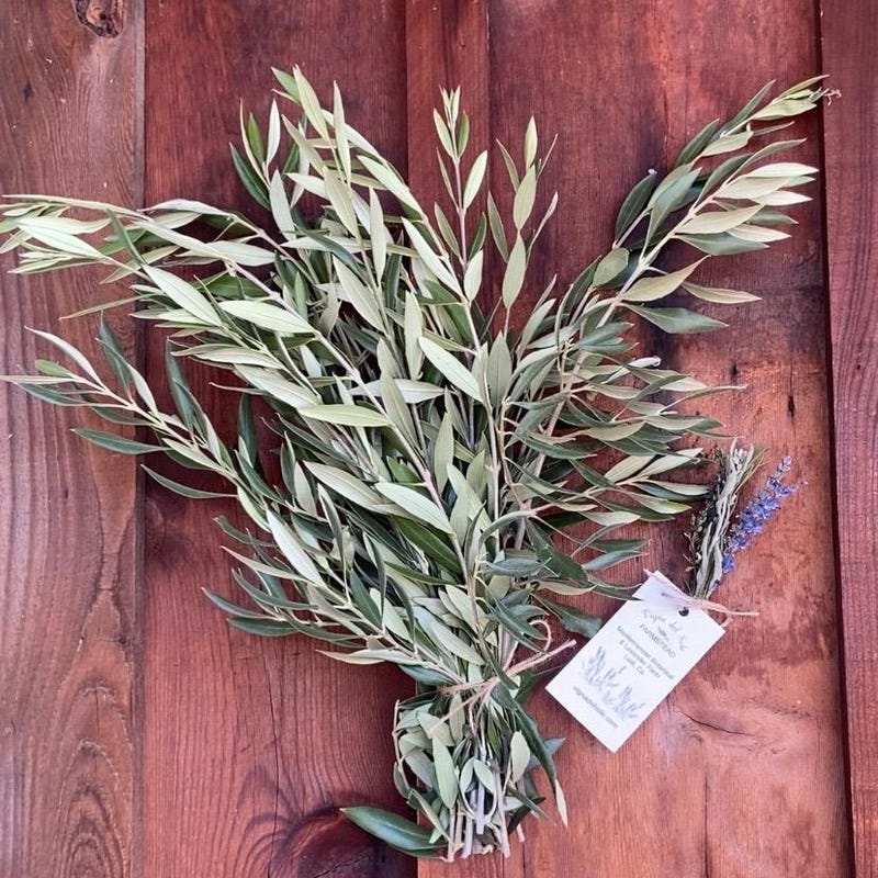 Dried Branch Real Decor - Etsy