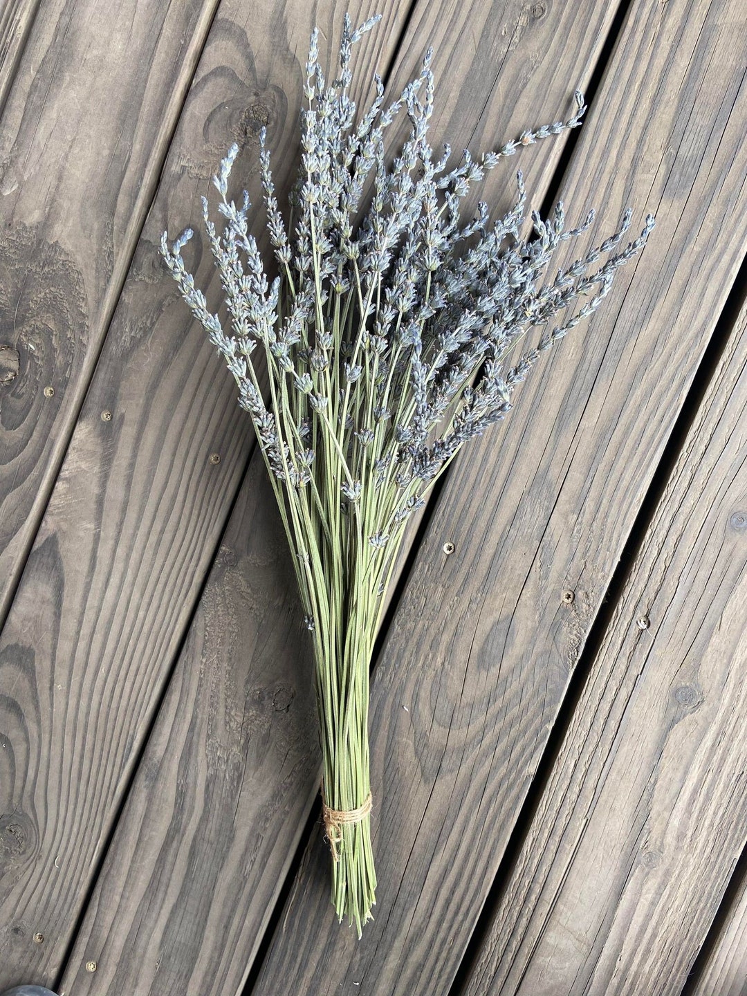 English Lavender Long Stem Bouquets Grown on Our Lodi, California ...