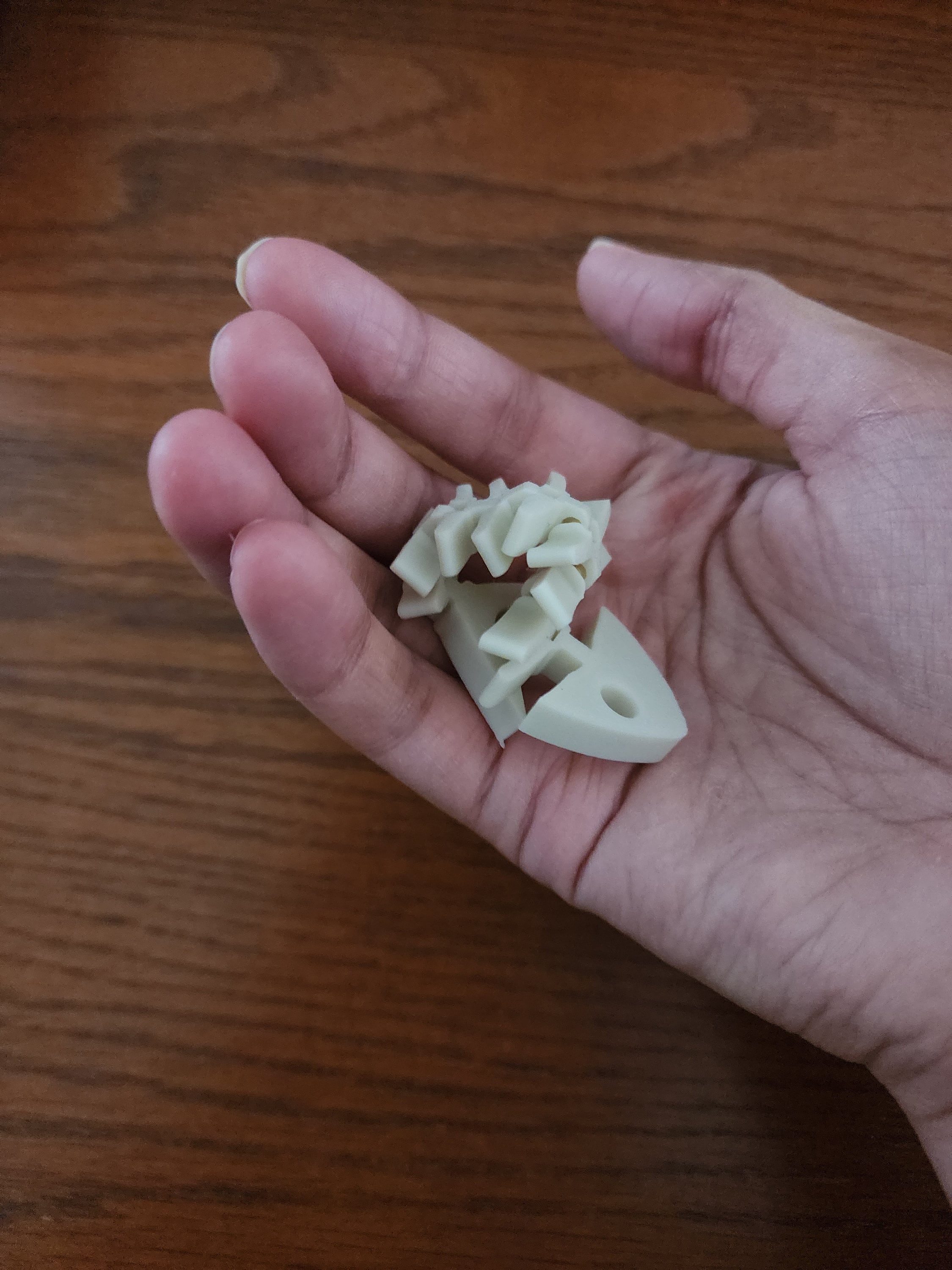 Boney Fish Fidget Skeleton 3D Printed Toy Kids Gift Flexible Sensory ...