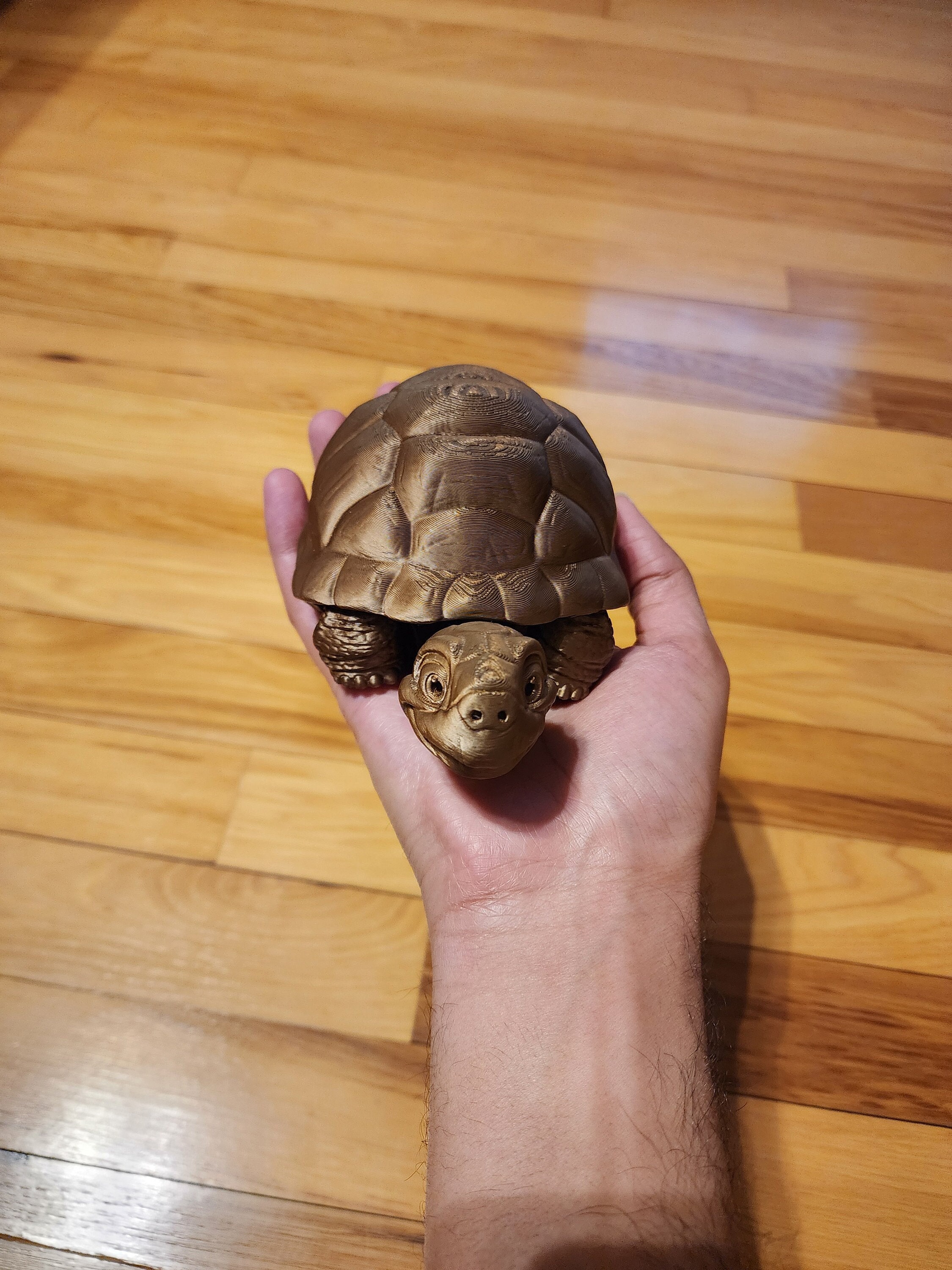 Friendly Articulated Tortoise Cute Turtle Fidget Flexible Pet 3D ...