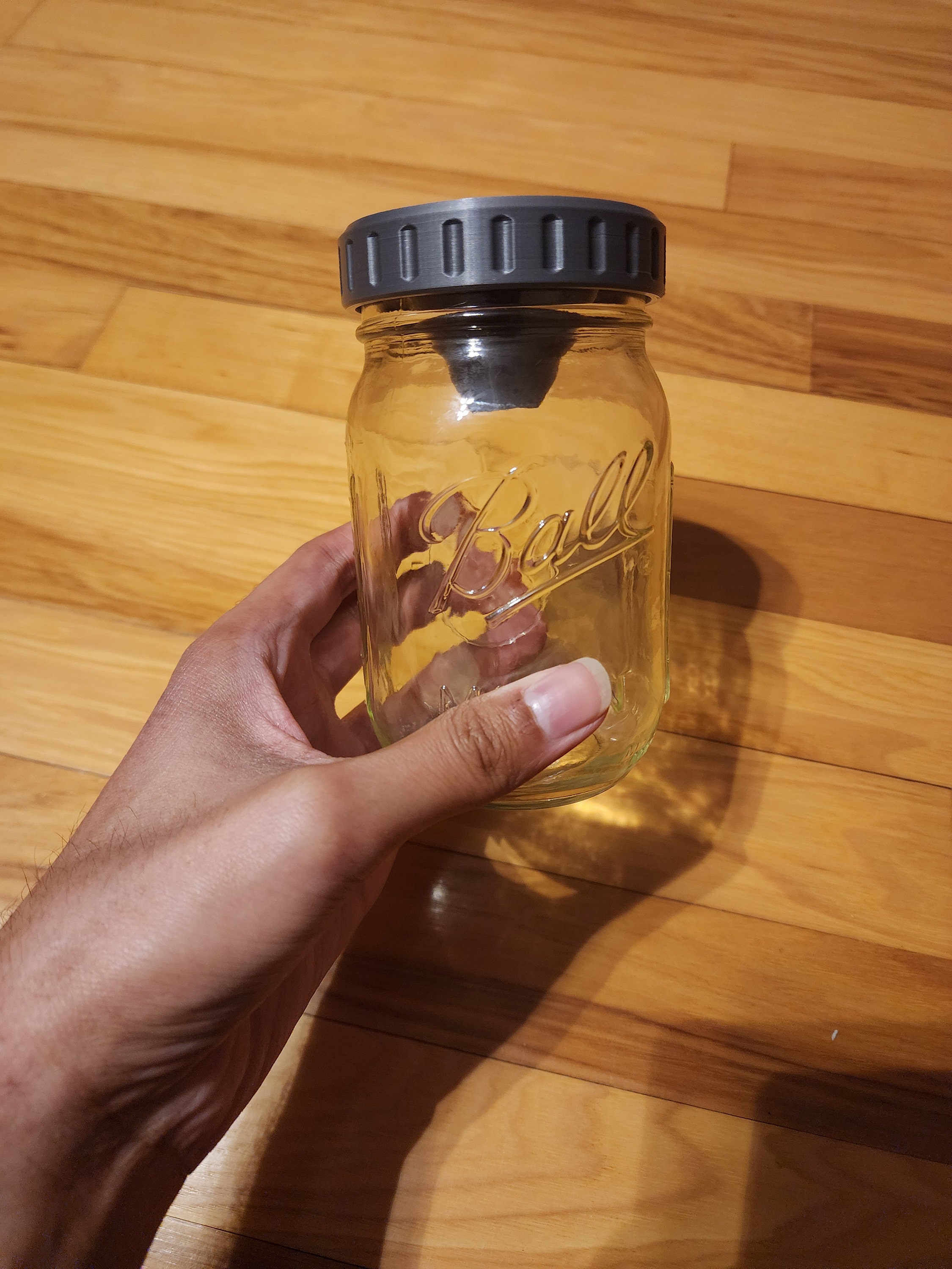 Mason Jar Fruit Fly Trap Pest Bug Catcher 3D Printed Lid Container Bugs ...
