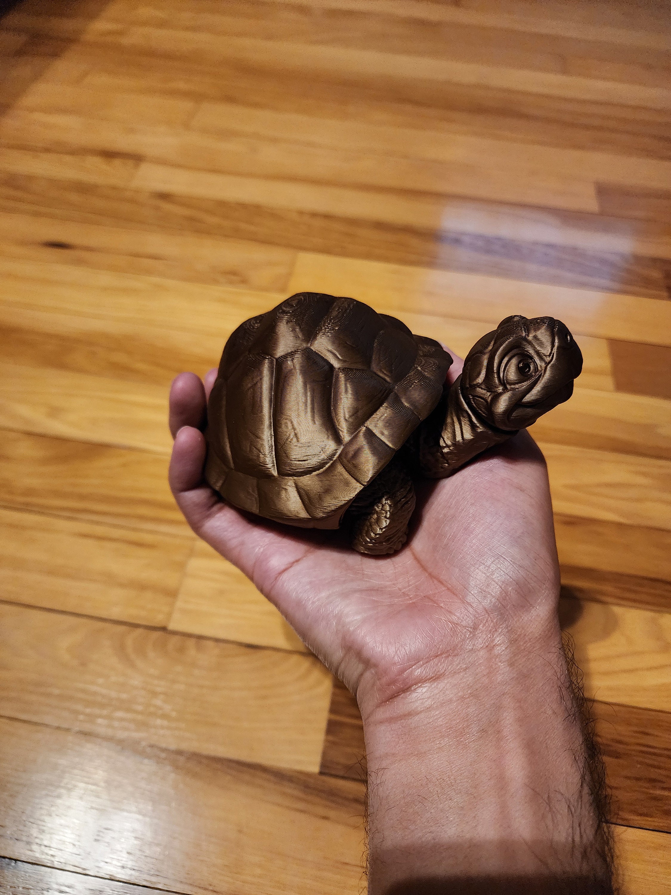Friendly Articulated Tortoise Cute Turtle Fidget Flexible Pet 3D ...