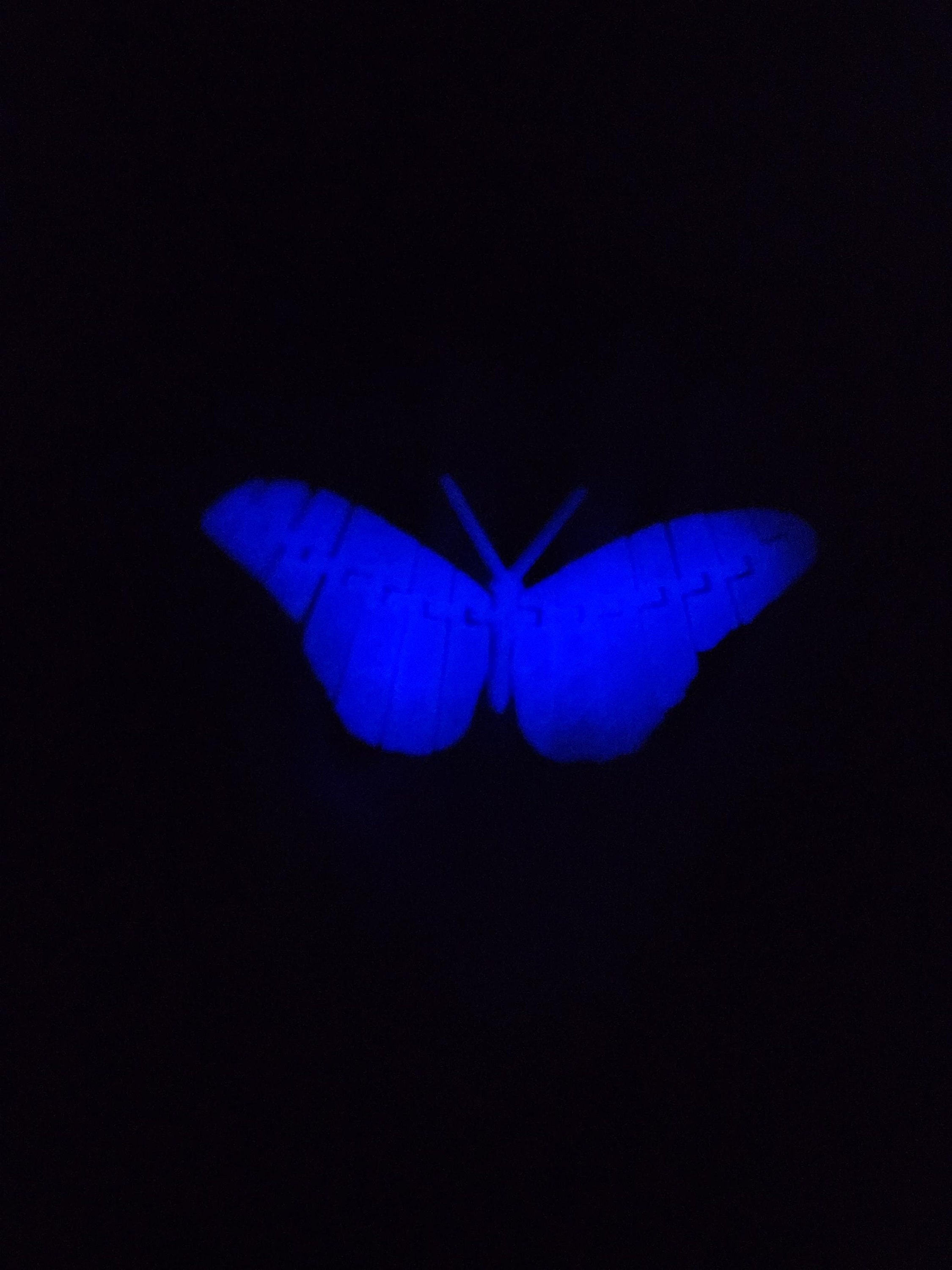 Articulated Butterfly | Flexible | Kids | Gift | Fun | Toy | Insect ...