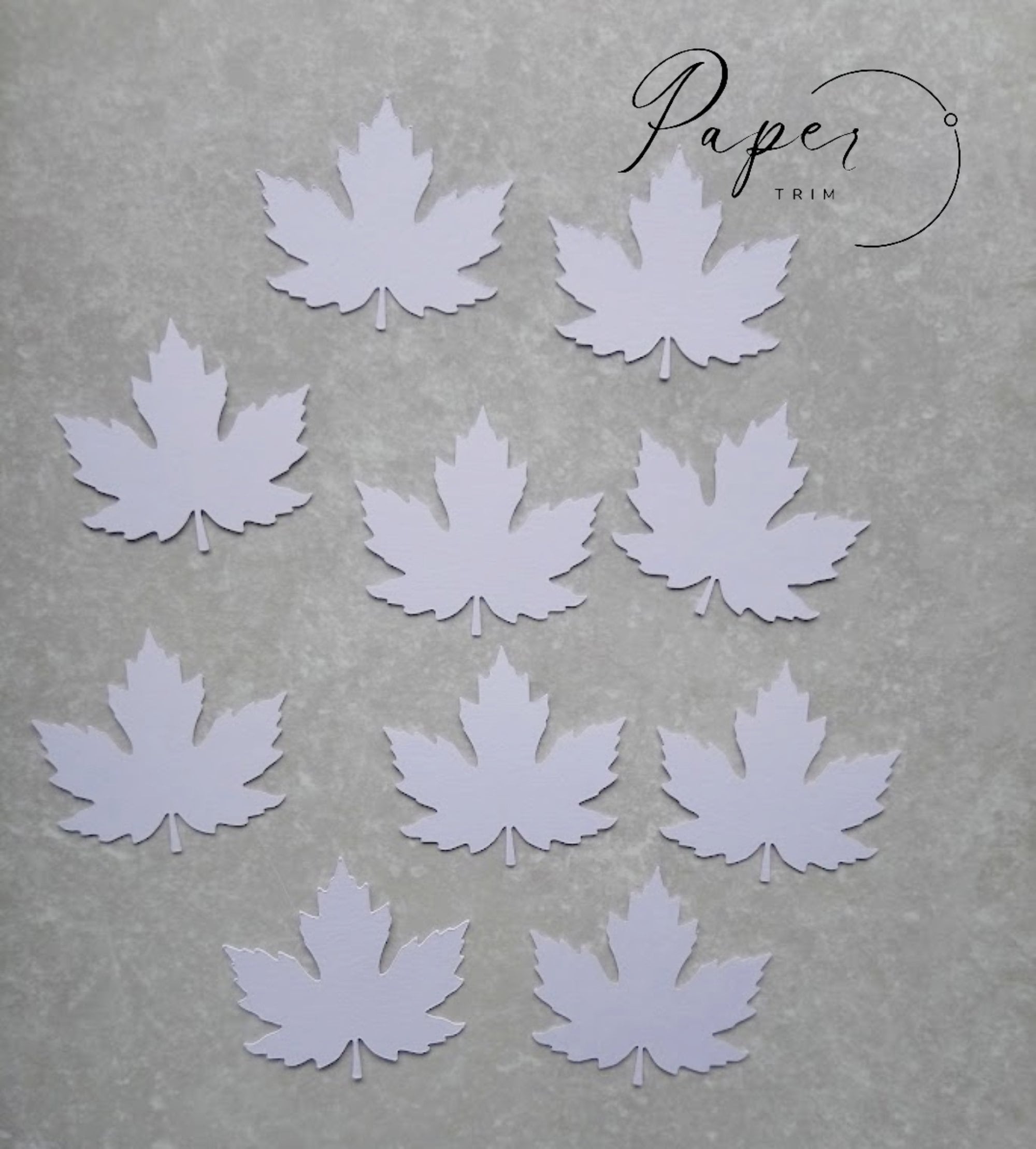 Leaf Cardstock Cutouts, DIY Leaf Craft Supplies, Craft Leaves for ...