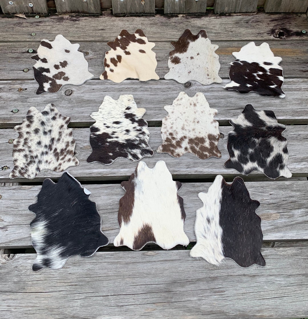 Real Cowhide Assorted Cow Shape Coasters - Etsy