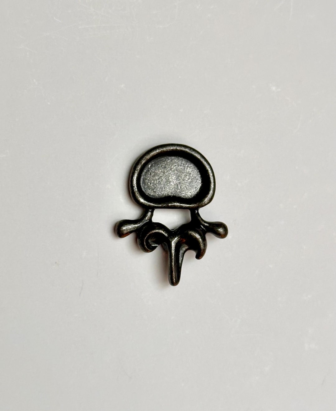 Spine Vertebrae Pin, PT, Healthcare Workers, Nurse, Nursing Student ...