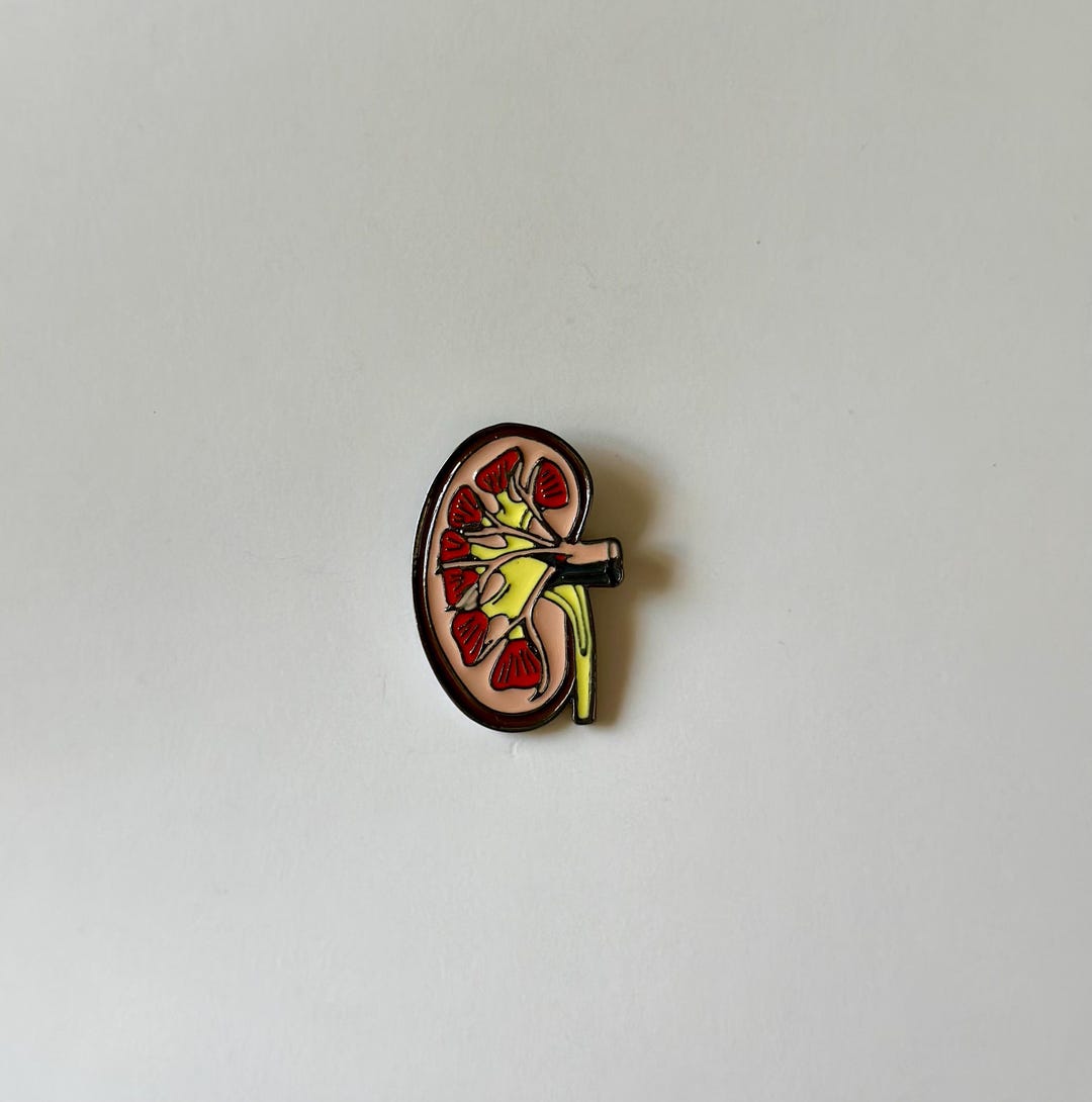Anatomical Kidney Enamel Pin: Medical Gift for Healthcare Workers - Etsy