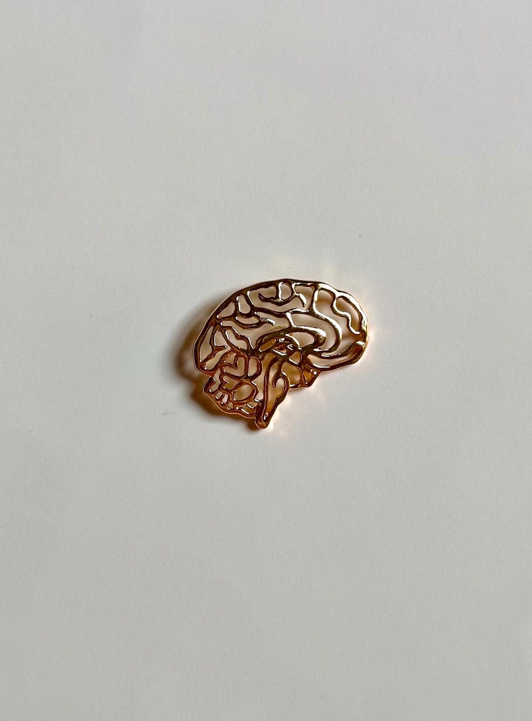 Brain Neuro Anatomy Pin for Nursing, Healthcare Workers, Nursing ...