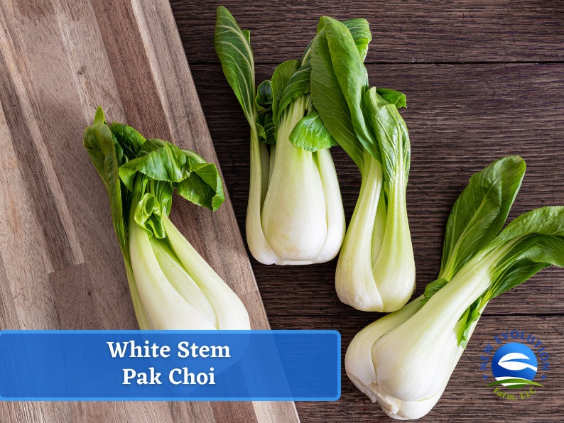 Pak Choi Cabbage Seeds - White Stem, Non-gmo Heirloom - Etsy