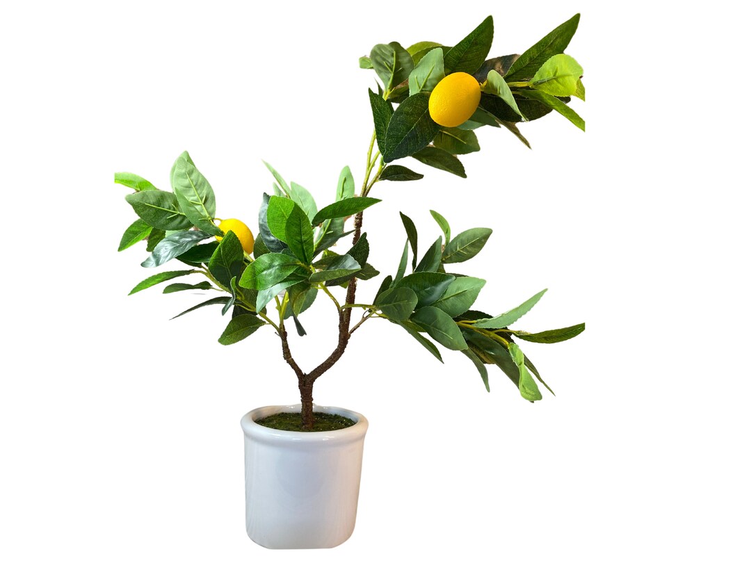 Artificial Lemon Tree Home Garden Decor, 23” Tall - Etsy