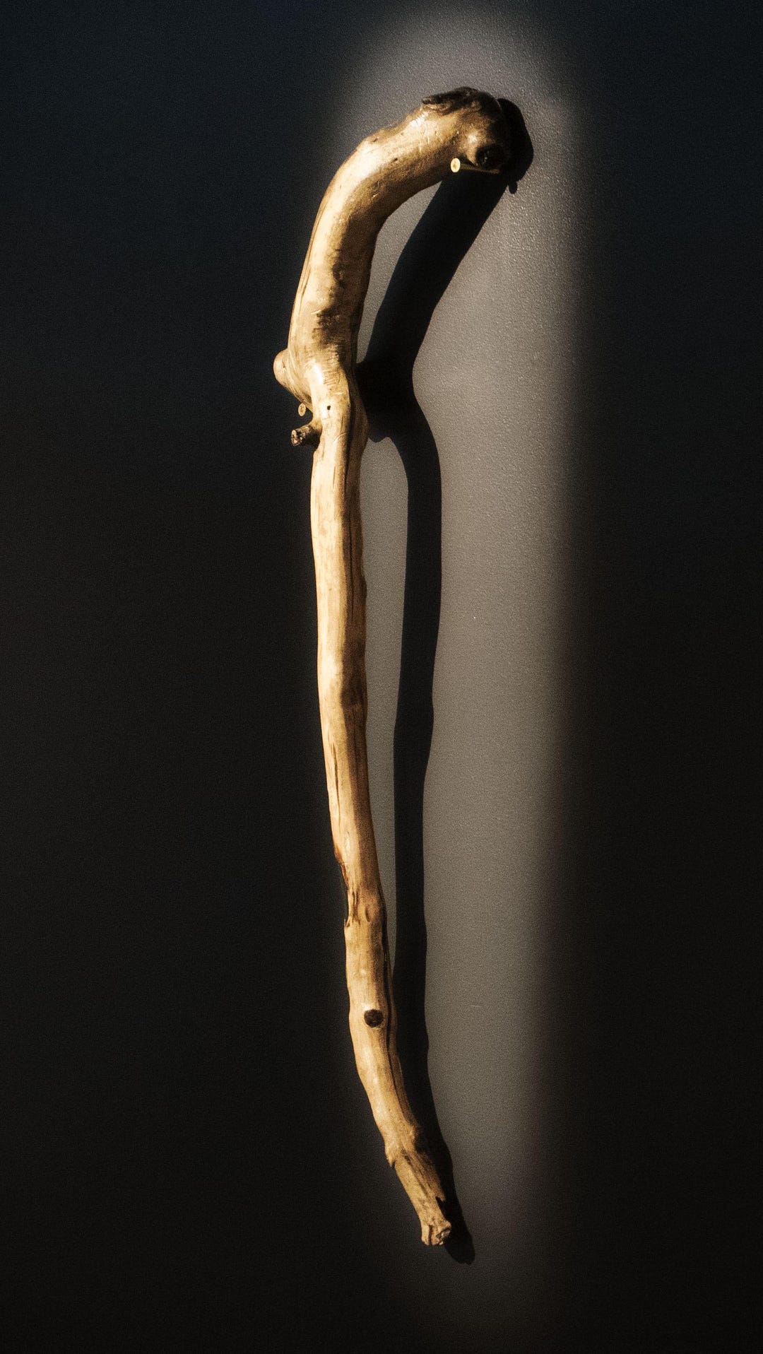 Functional Cane, Decorative Screw, 2024 - Etsy