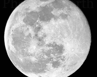 Robin Bird Art Print Full Moon Art Worm Moon March Full Moon - Etsy