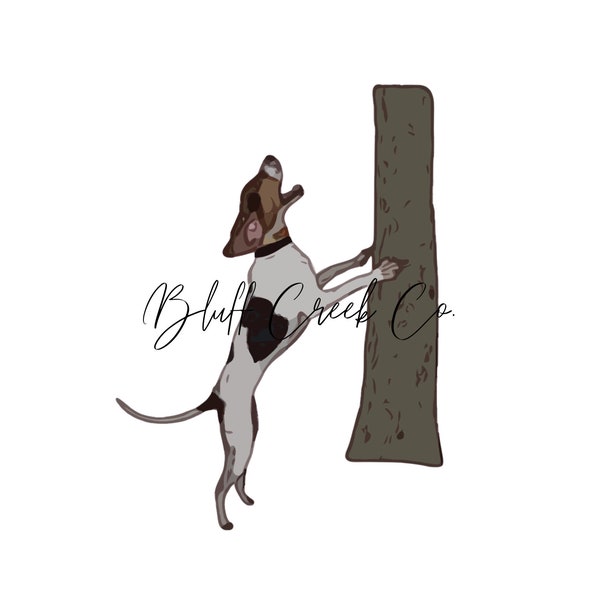 Coon Dog - Etsy
