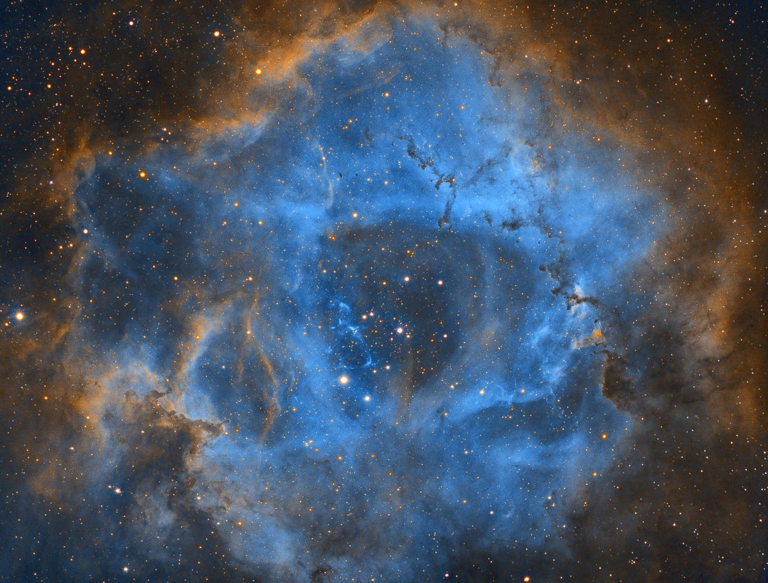 The Rosette Nebula in Hubble Pallet 8x10 Print on Canvas - Etsy