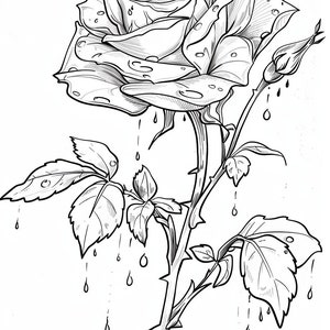 Embrace the Beauty of Roses! Over 250 Rose Coloring Pages - Printable ...