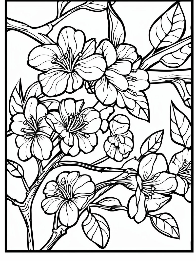 Embrace the Beauty of Cherry Blossoms! Nearly 200 Cherry Blossom ...